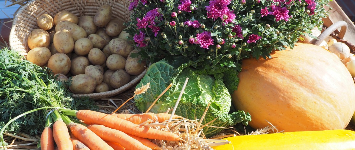 Landeserntedankfest MV 2025