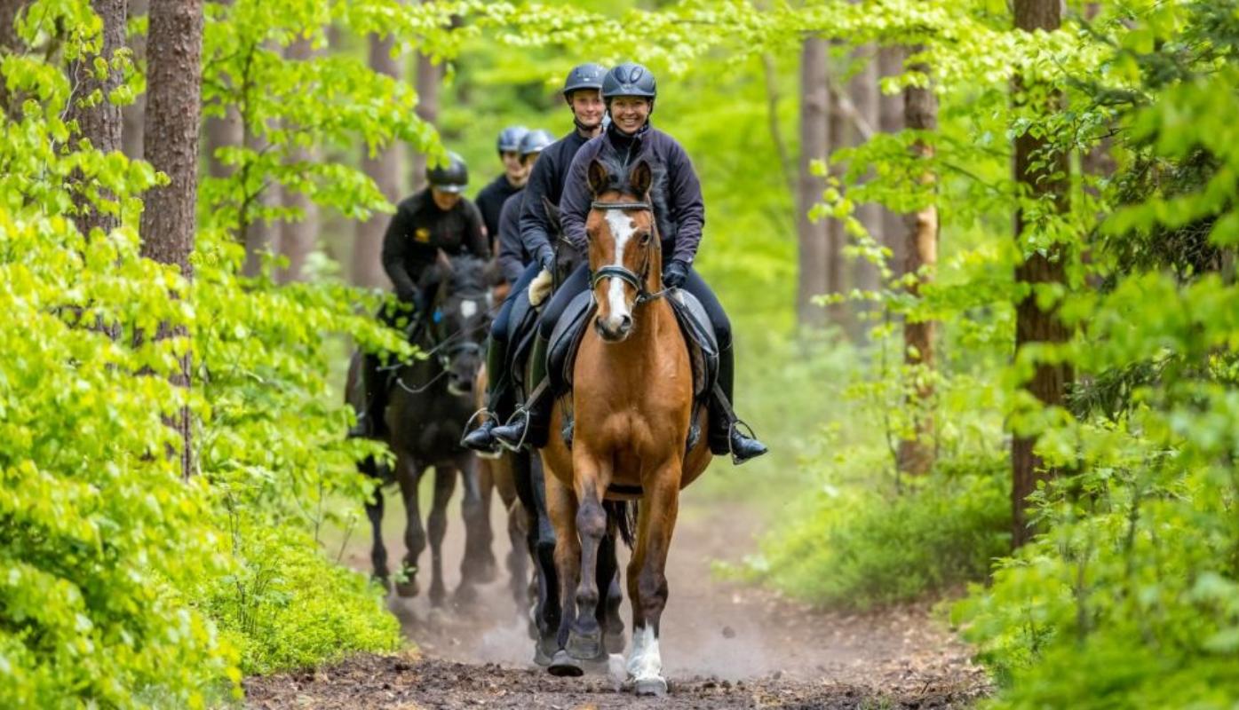 Reiturlaub bei den Bernsteinreitern Hirschburg
